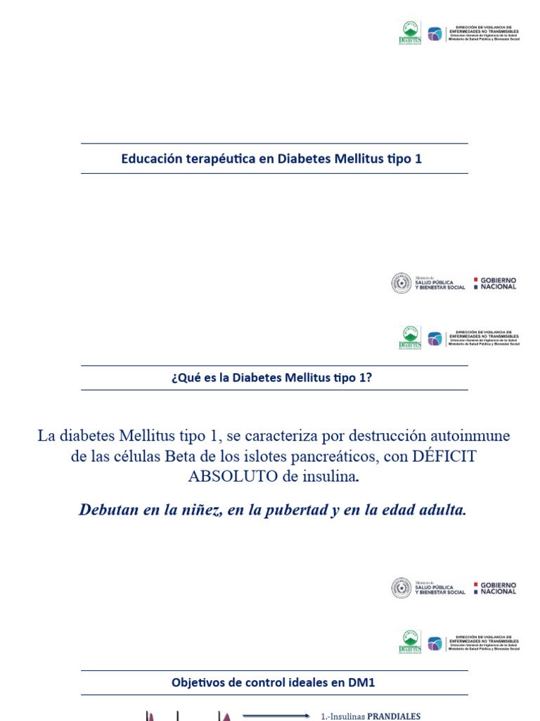 1 Educacion-DM1 | PDF
