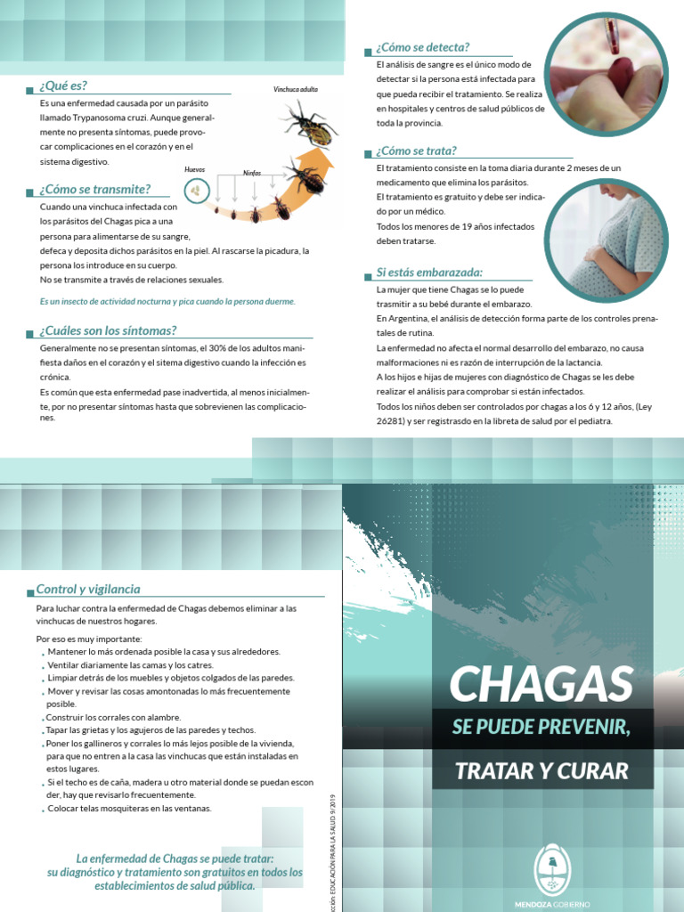 Triptico Chagas | PDF | Especialidades Medicas | Medicina