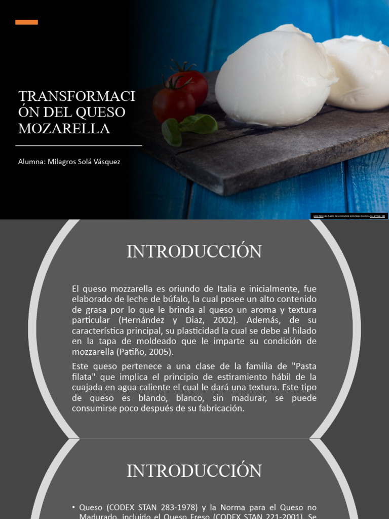 TRANSFORMACIÓN DEL QUESO MOZARELLA | PDF | Queso | Queso Mozzarella