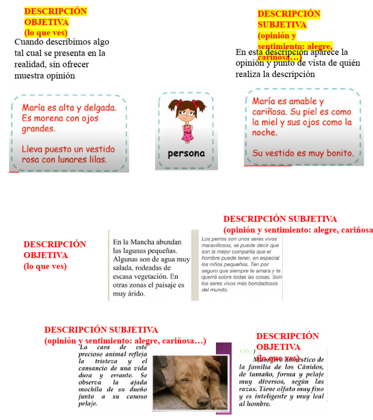 descripcion objetiva y subjetiva | PDF
