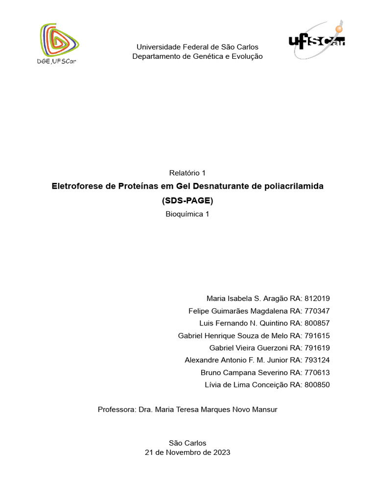 Relatório 1 - Bioquímica 1 | PDF