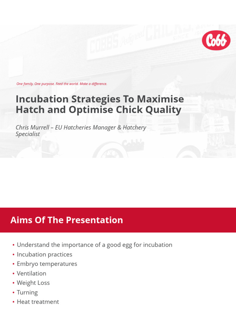 Incubation Factors Affecting Chick Quality - Chris Murrell | PDF