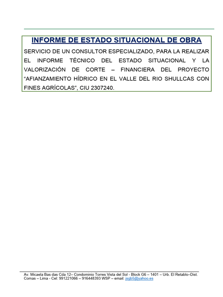 Informe Situacional | PDF