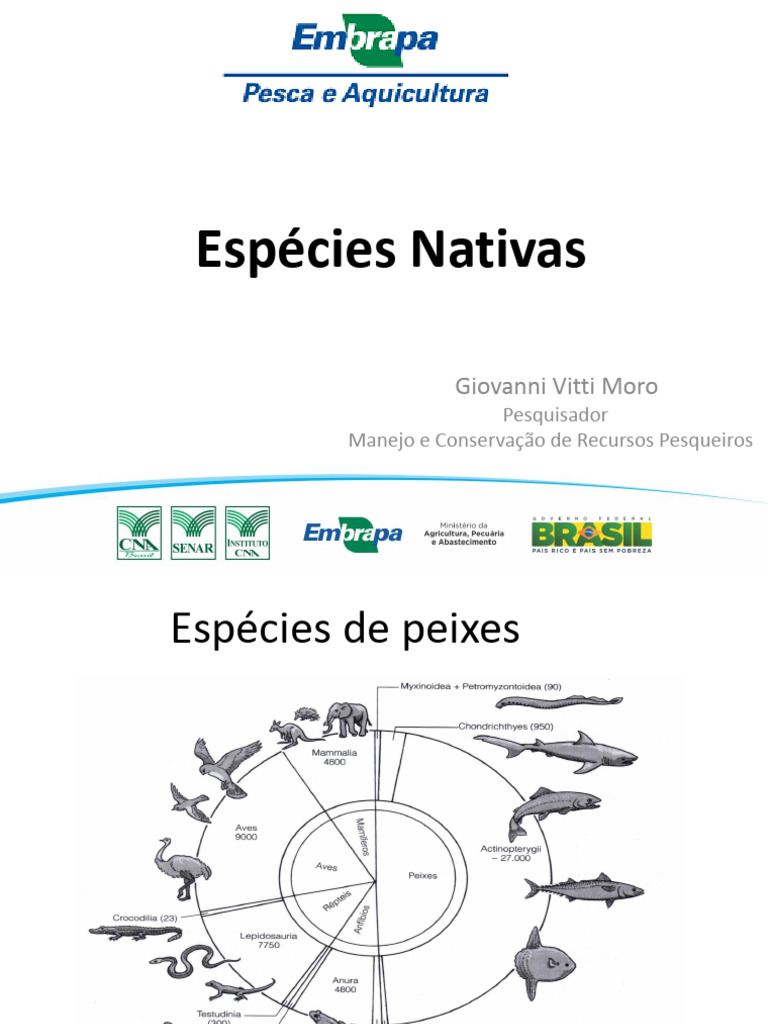 Aula 08 - Espécies Nativas | PDF | Peixes