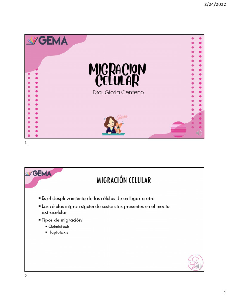 7C. Migración y Proliferación Celular | PDF