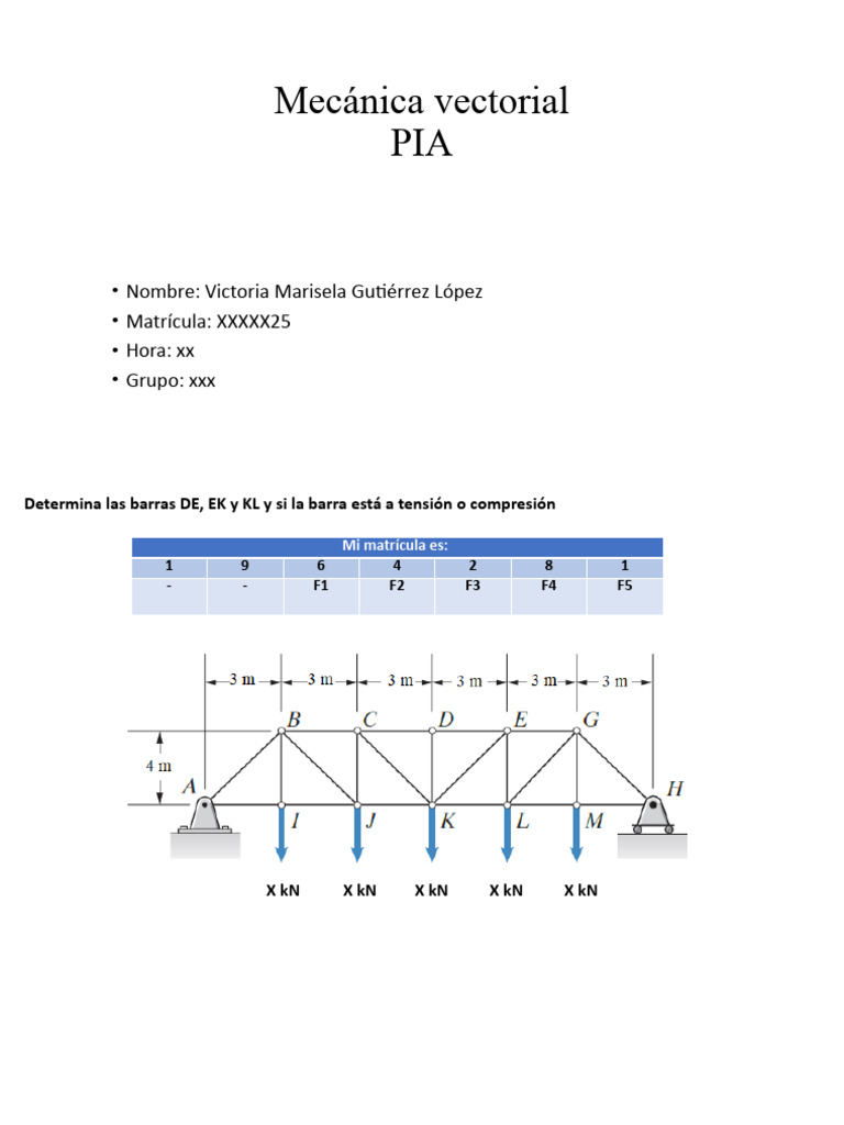 PIA MV MJ (1) | PDF