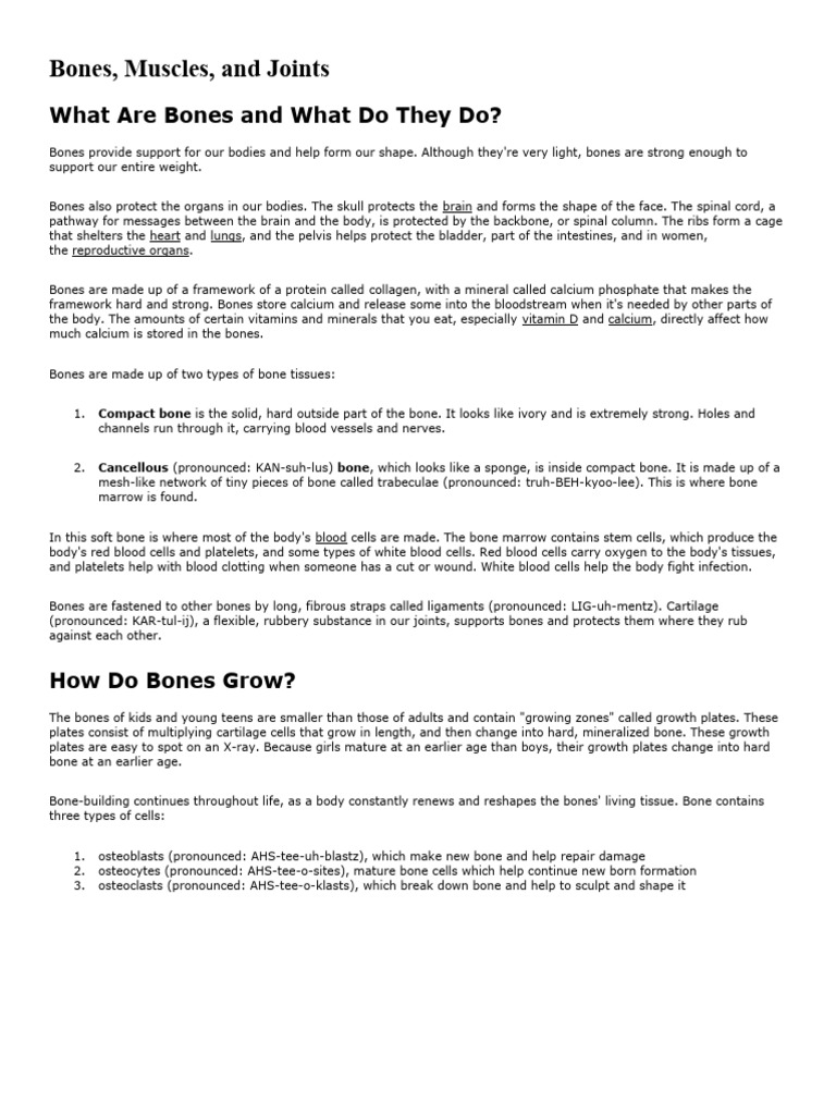 Understanding Bones, Muscles, and Joints | PDF | Bone | Arm