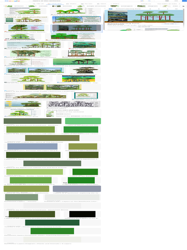 layers of the rainforest - Google Tìm kiếm | PDF