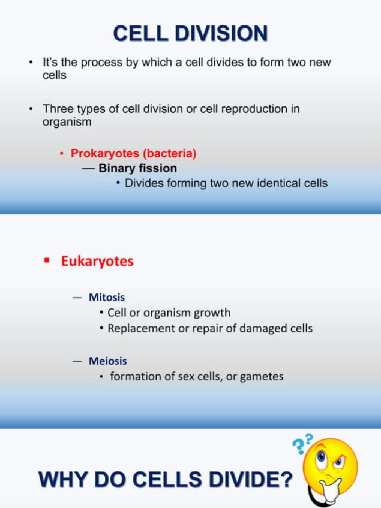 Cell Division-Cell Cycle | PDF