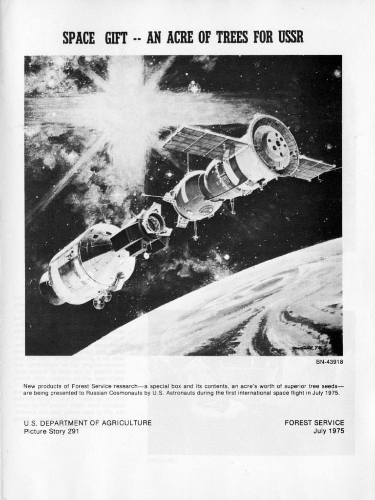 Space Gift - An Arce of Trees For USSR | PDF | Spacecraft | Space Programs