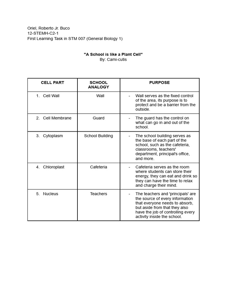 First Learning Task in STM 007 | PDF
