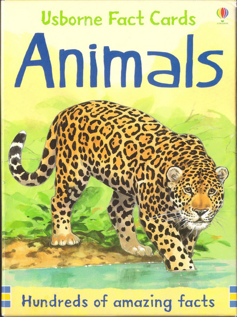 Activity Cards - Animals (Usborne (Usborne) ) | PDF