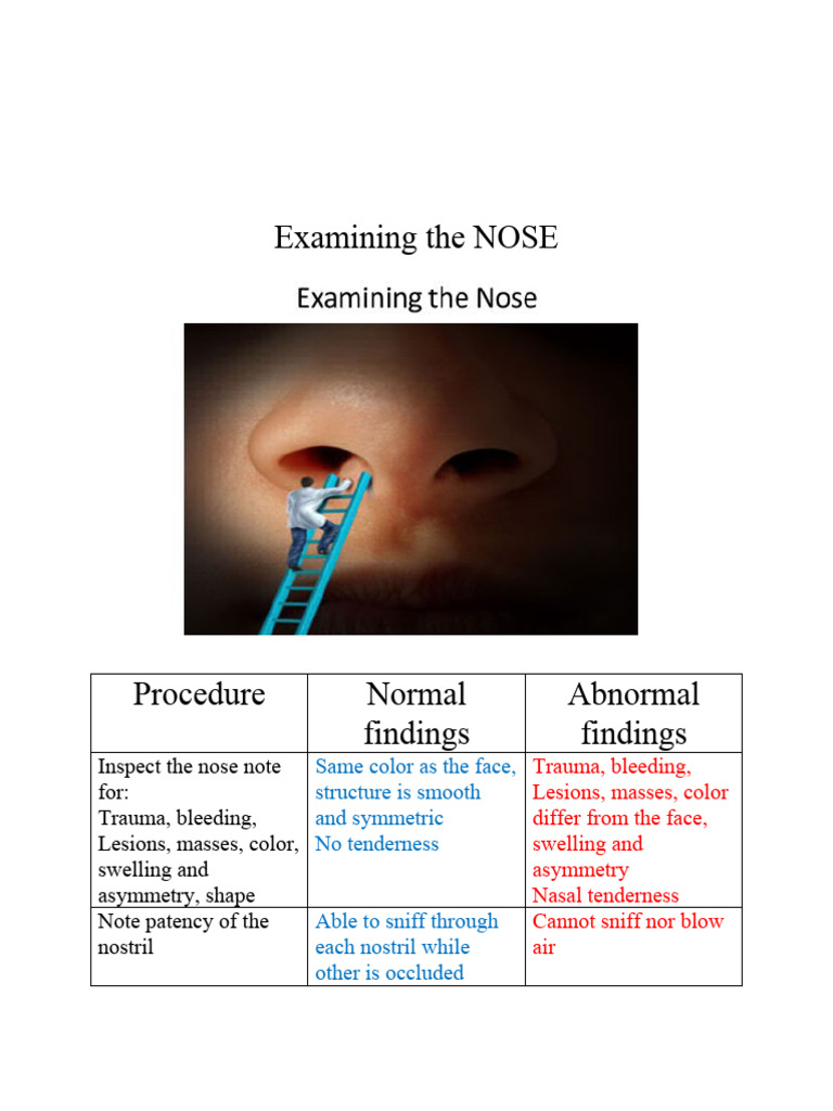 #5 - A Nose, Mouth, Sinuses, Throat | PDF | Human Nose | Medical ...