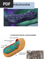 Les Lipides Simples : Glycérides, Cérides, Stérides | PDF | Cholestérol ...