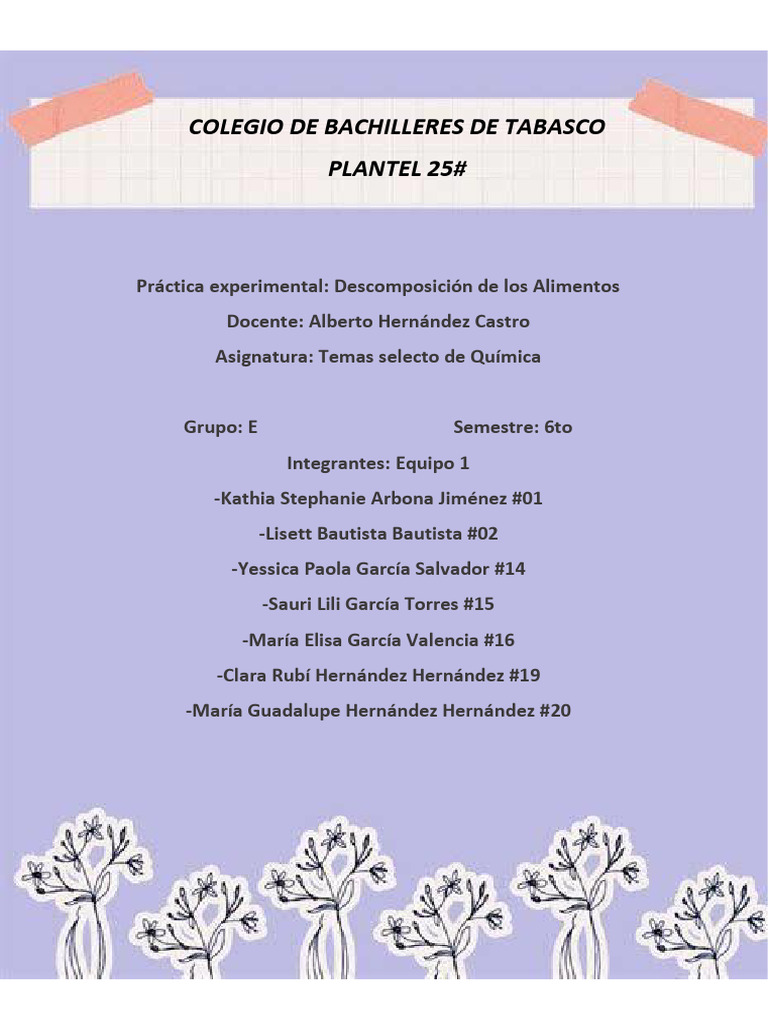 Equipo 1 - Descomposición de Los Alimentos | PDF