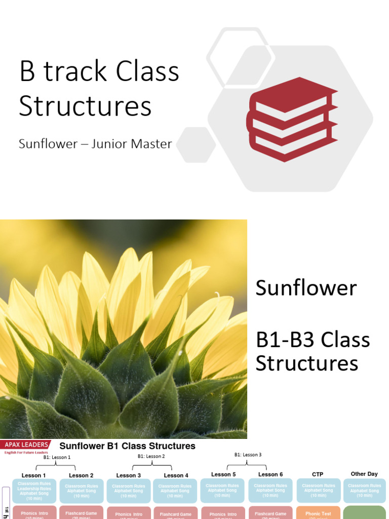 B Track Class Structures | PDF