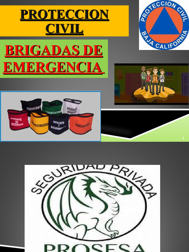 Proteccion Civil Brigadas Prosesa | PDF | Temblores | Simulación