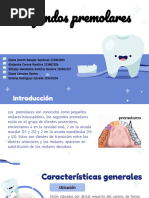 Premolares Inferiores | PDF | Boca | Anatomia dental