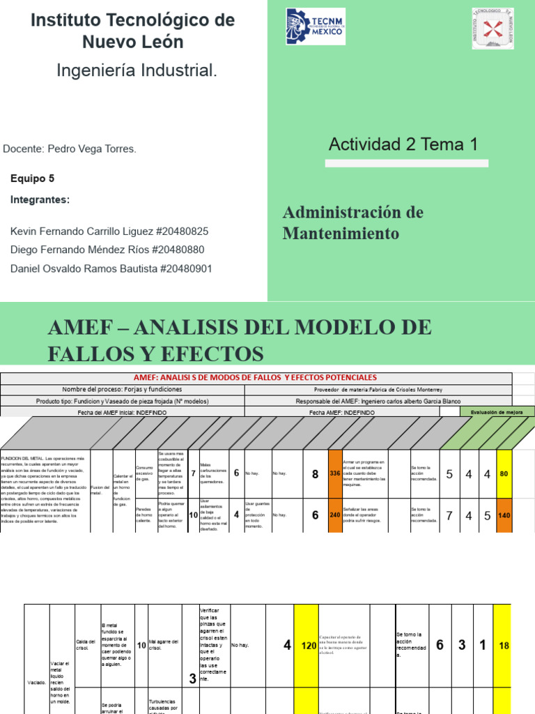 AMEF | PDF