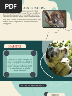 Wombat Fact File | PDF