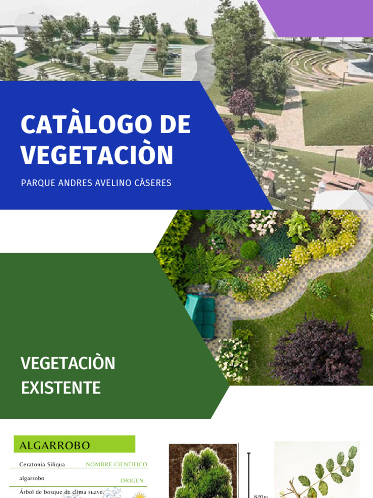 Catàlogo de Vegetaciòn | PDF | Plantas | Botánica