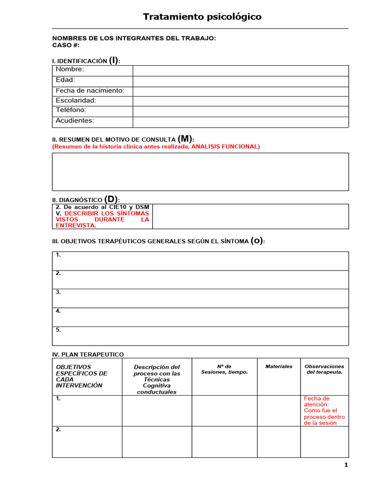 Formato de Intervencion | PDF