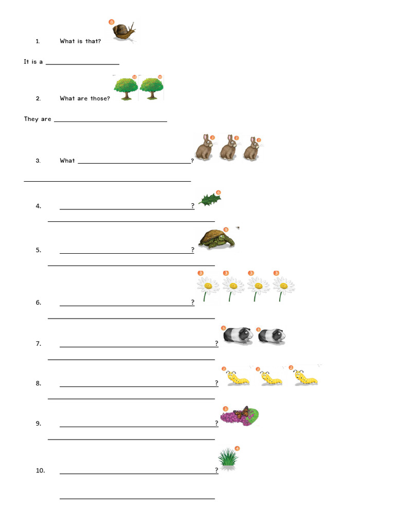 Guess What 3 Unit 1 | PDF