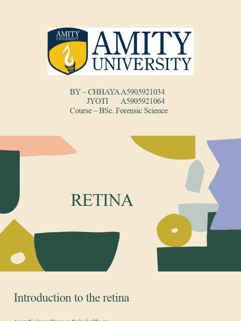 Retinal Biometric | PDF