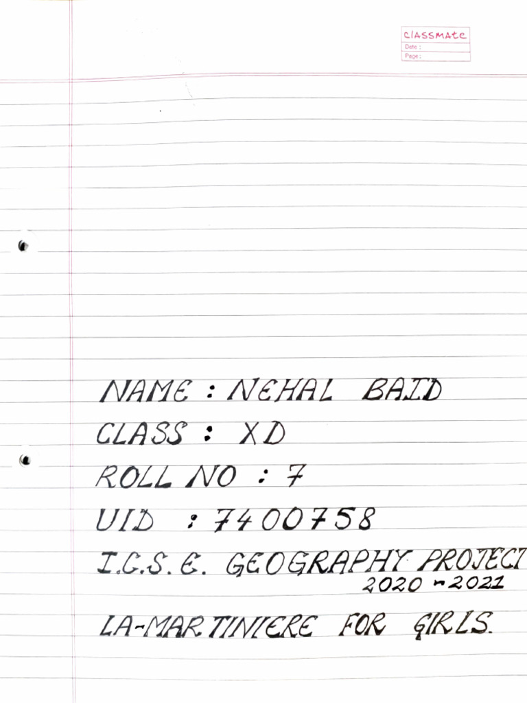 Nehal Baid X-D Roll No. 7 Geography Project | PDF | Pollution ...