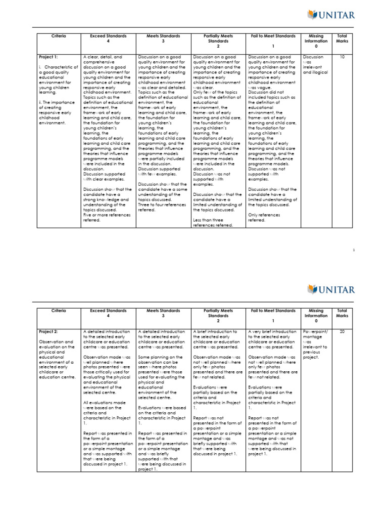 Rubric Assignment 2 | PDF | Child Care | Cognitive Psychology