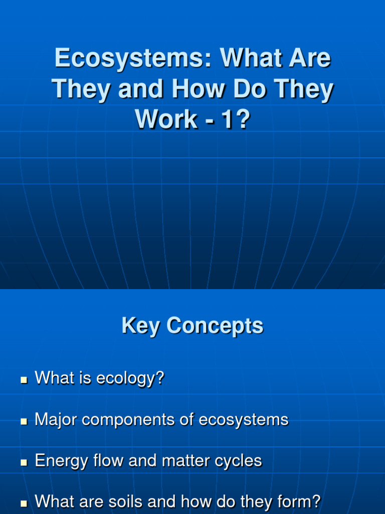 3-Ecosystems 1 | PDF | Food Web | Atmosphere Of Earth