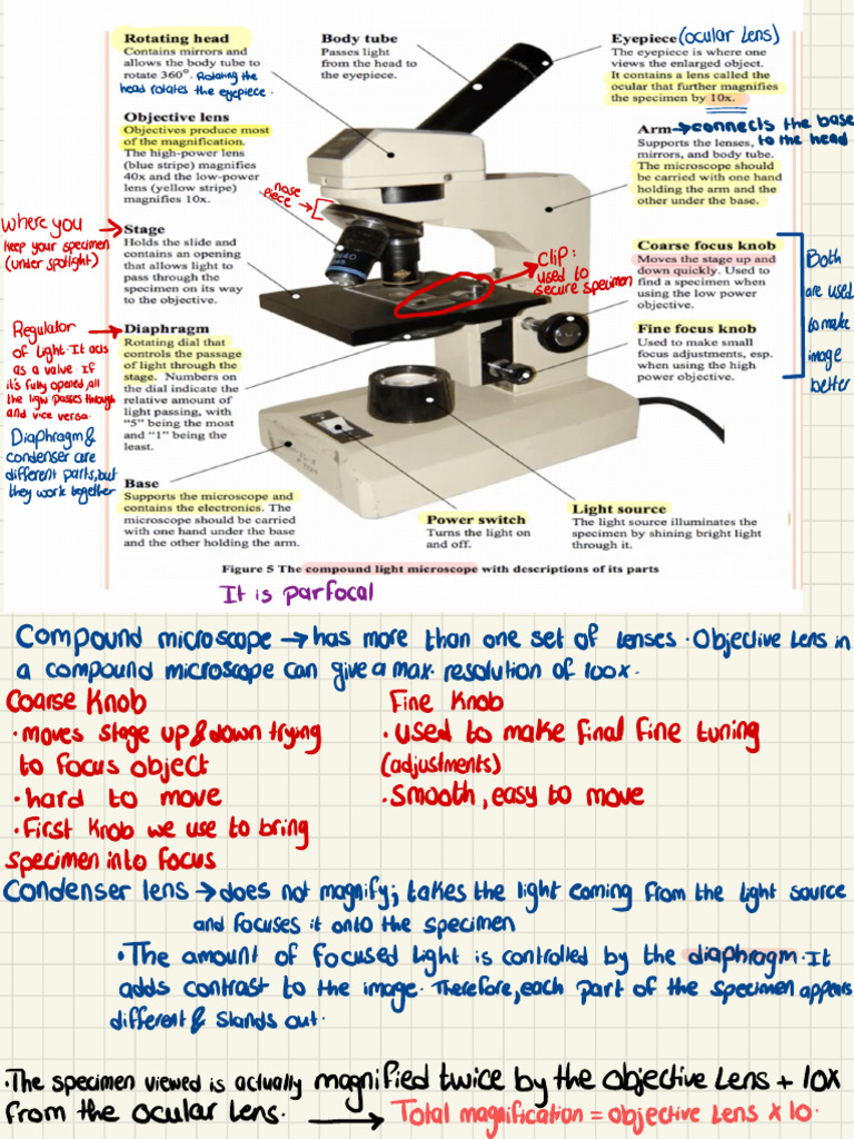 The Microscope Lab Manual | PDF | Lenses | Physical Sciences