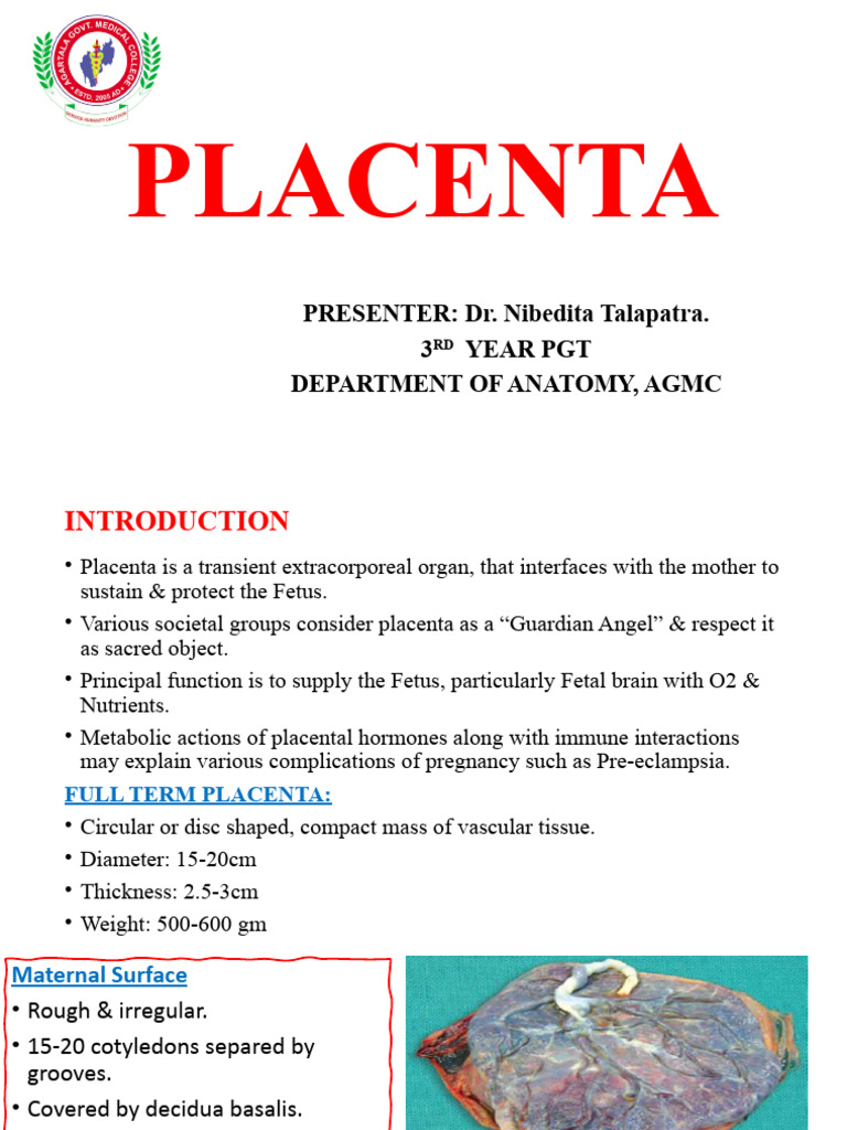 Placenta | PDF | Placenta | Fetus