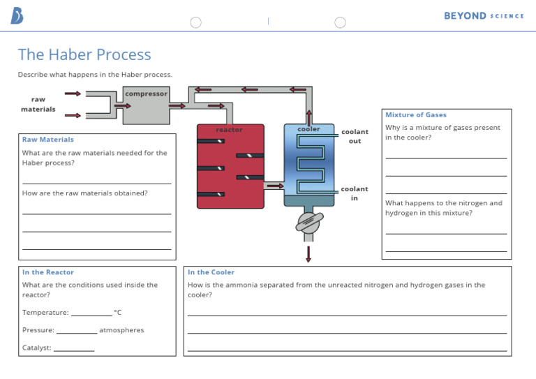 Overview of the Haber Process | PDF