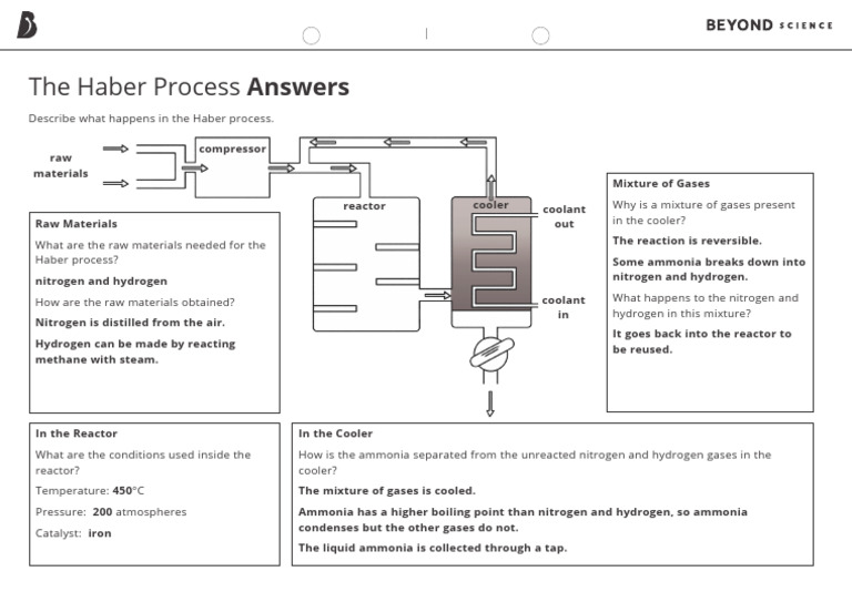 The Haber Process Foundation Worksheet Answers | PDF