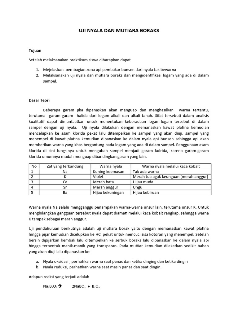 Uji Nyala Dan Mutiara Boraks | PDF | Sains & Matematika