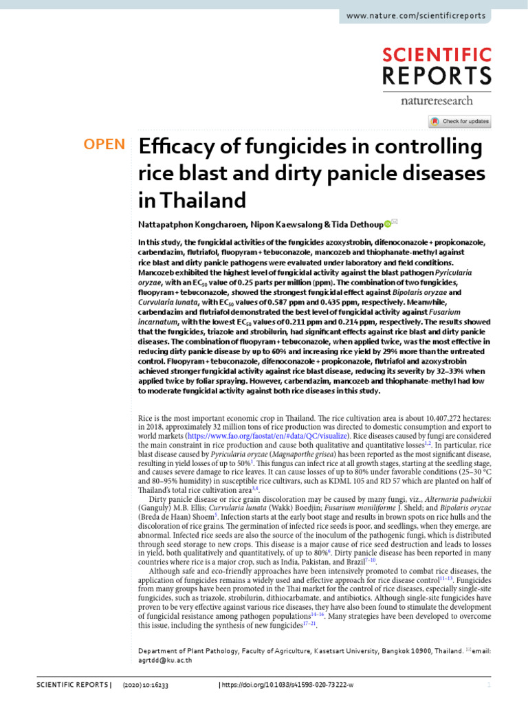 Fungicides For Rice Blast | PDF | Rice | Fungus