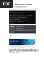 15.4.8 Lab - Observe DNS Resolution | PDF | Domain Name System | World Wide Web