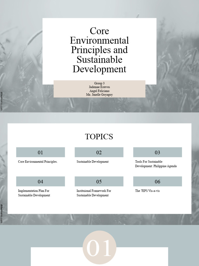 Core Environmental Principles and Sustainable Development Gorup 2 | PDF