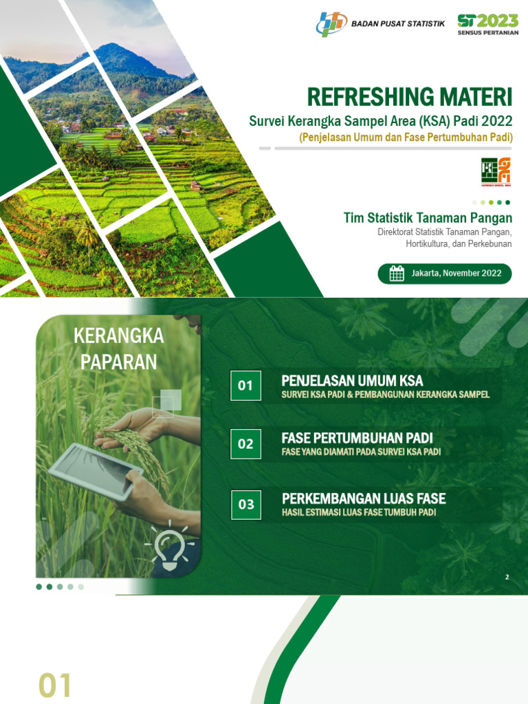 Penjelasan Fase Tumbuh KSA Padi | PDF