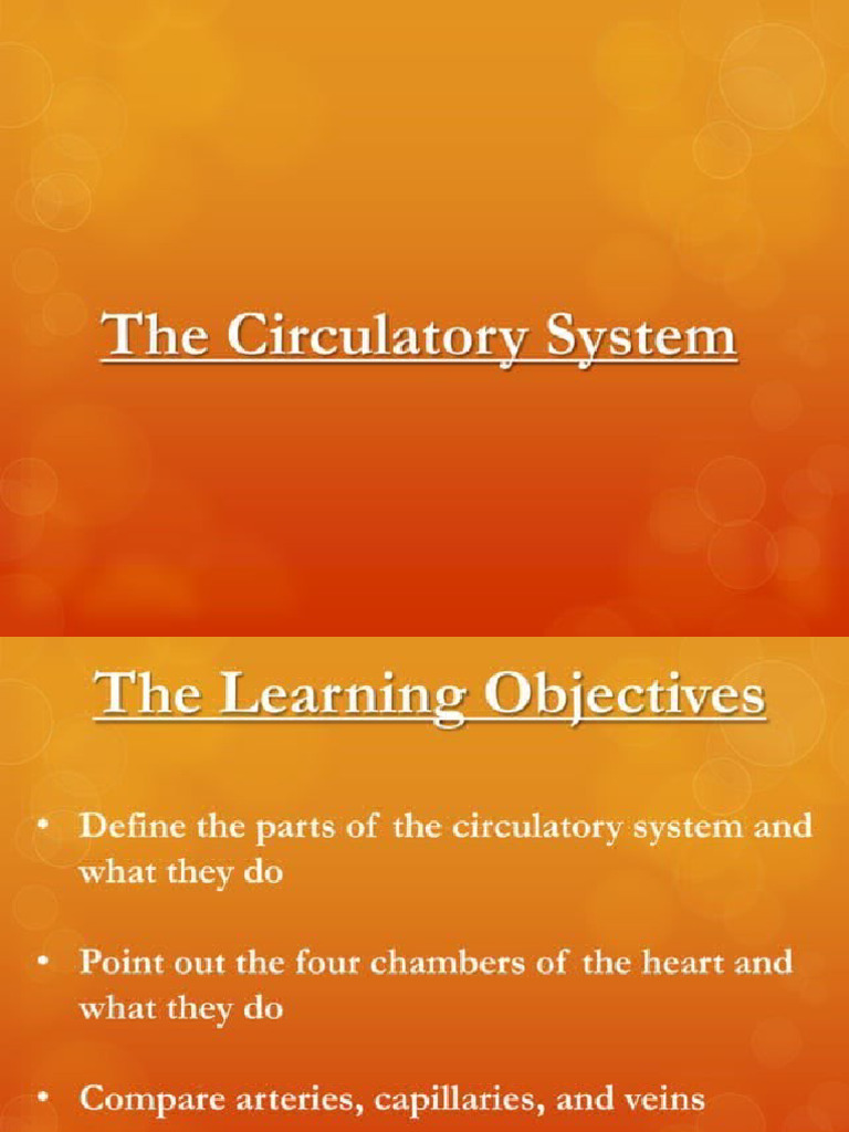 the circulatory system | PDF