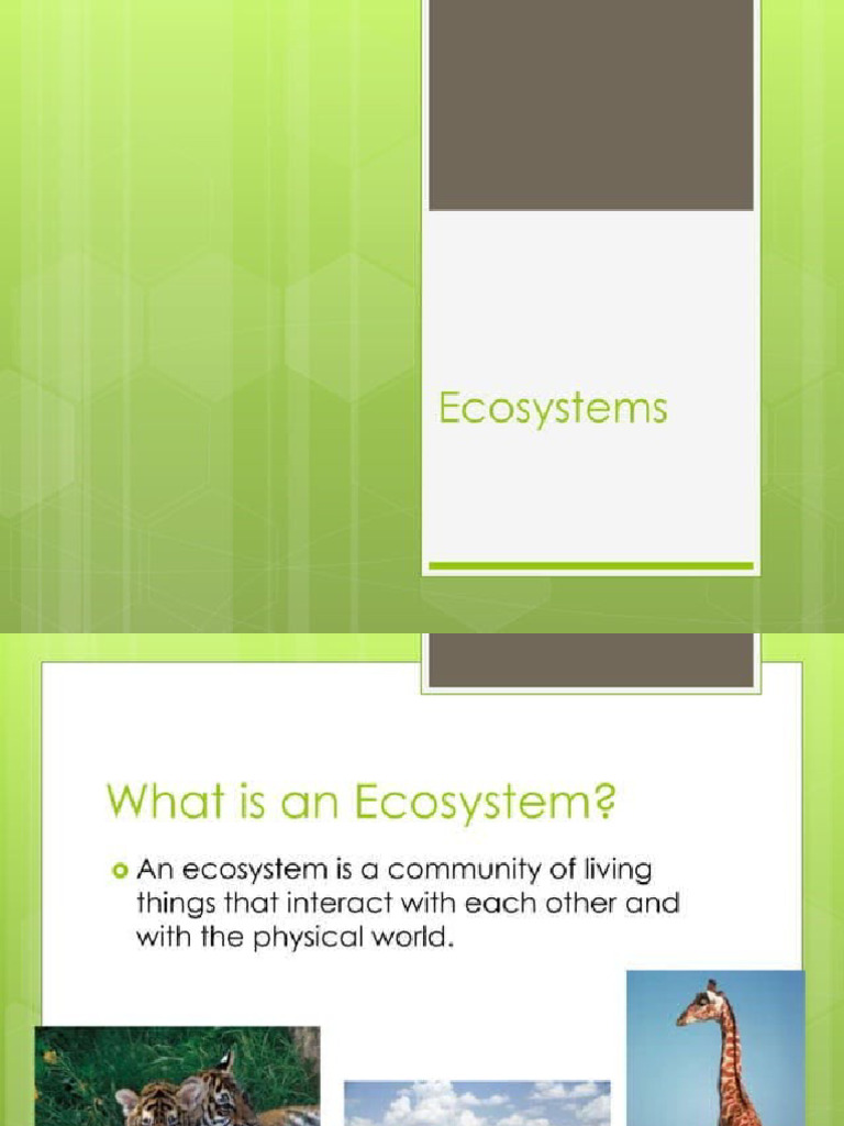 Ecosystem | PDF