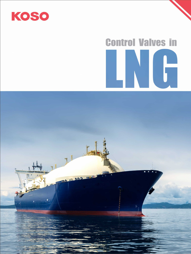 Severe Service Valves on LNG | PDF