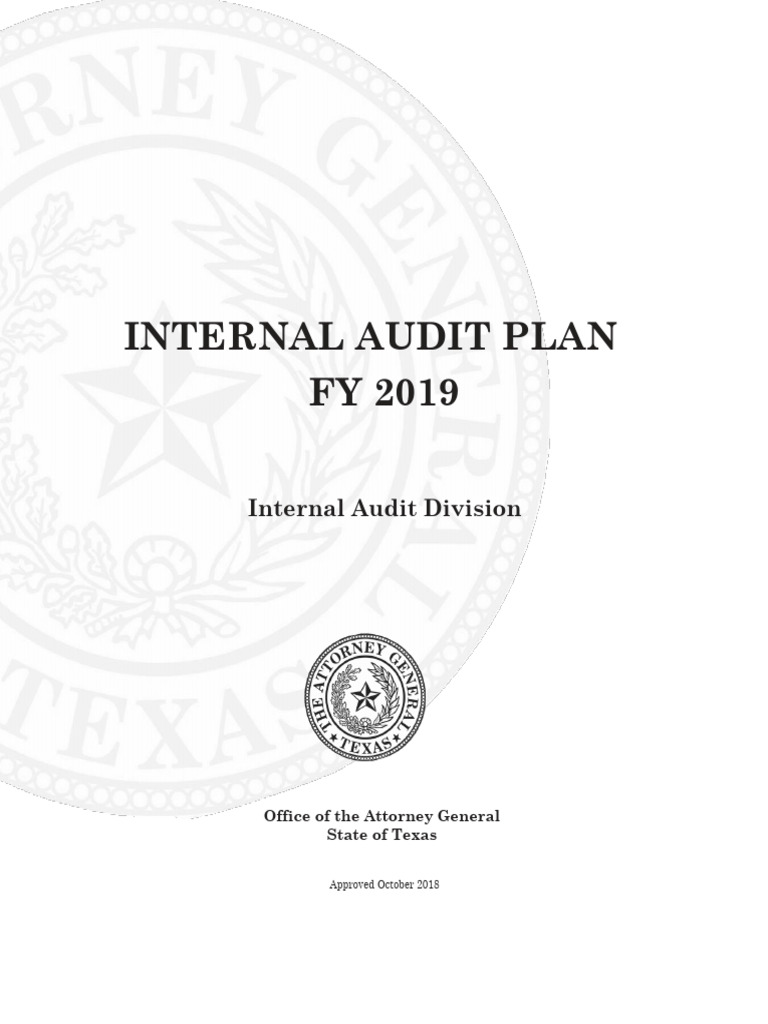 2019 Internal Audit Plan | PDF