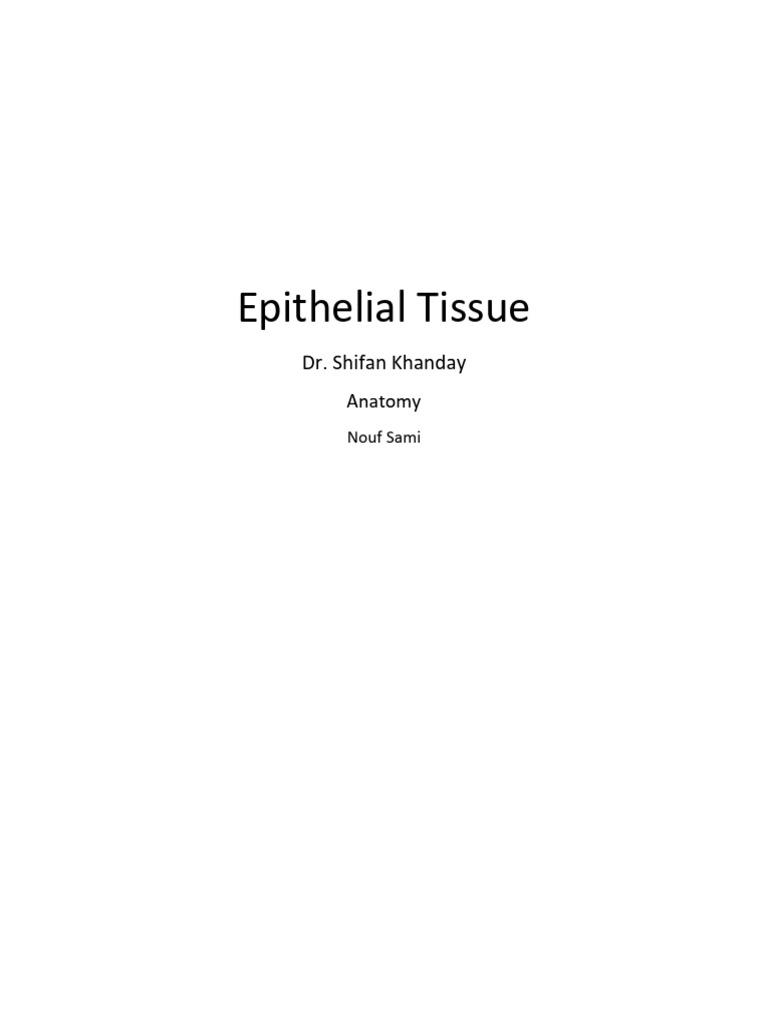 Epithelial Tissue (1) | PDF | Epithelium | Anatomy