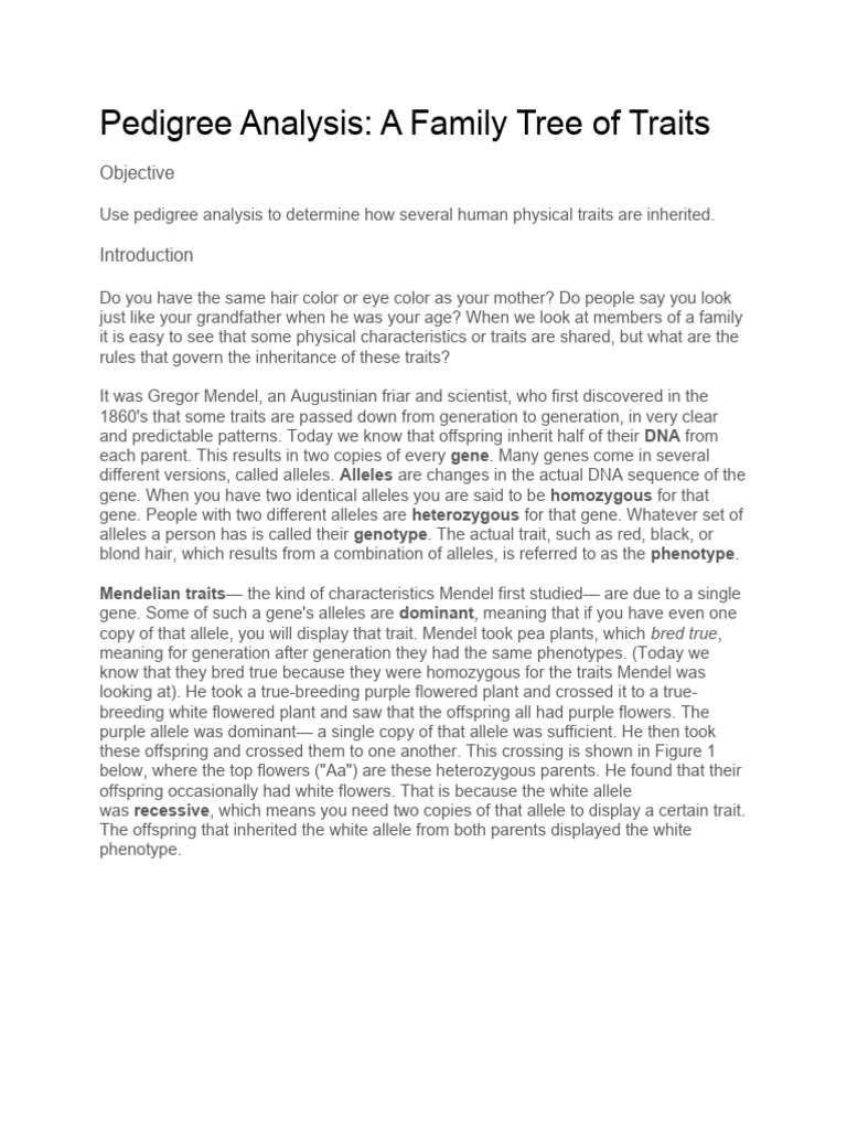 PEDIGREE ANALYSIS PROJECT | PDF | Dominance (Genetics) | Allele