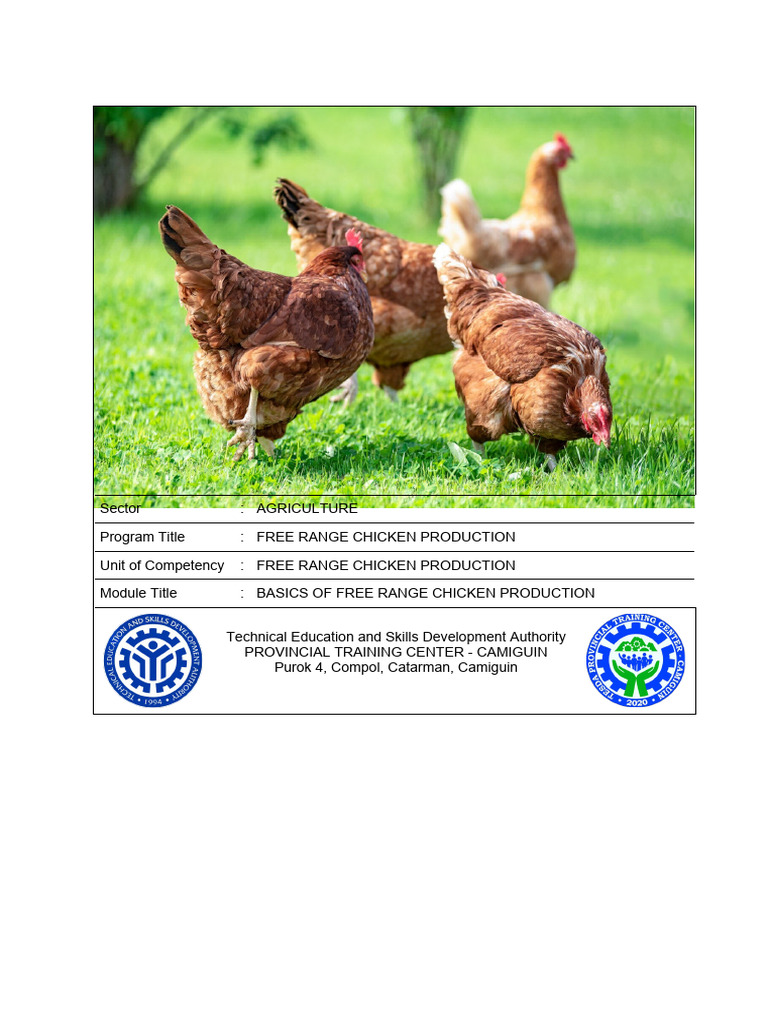 Free Range Chicken Production Traning Guide | PDF | Business