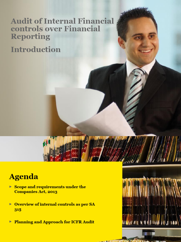 Internal Financial Controls Audit Guide | PDF | Internal Control | Audit