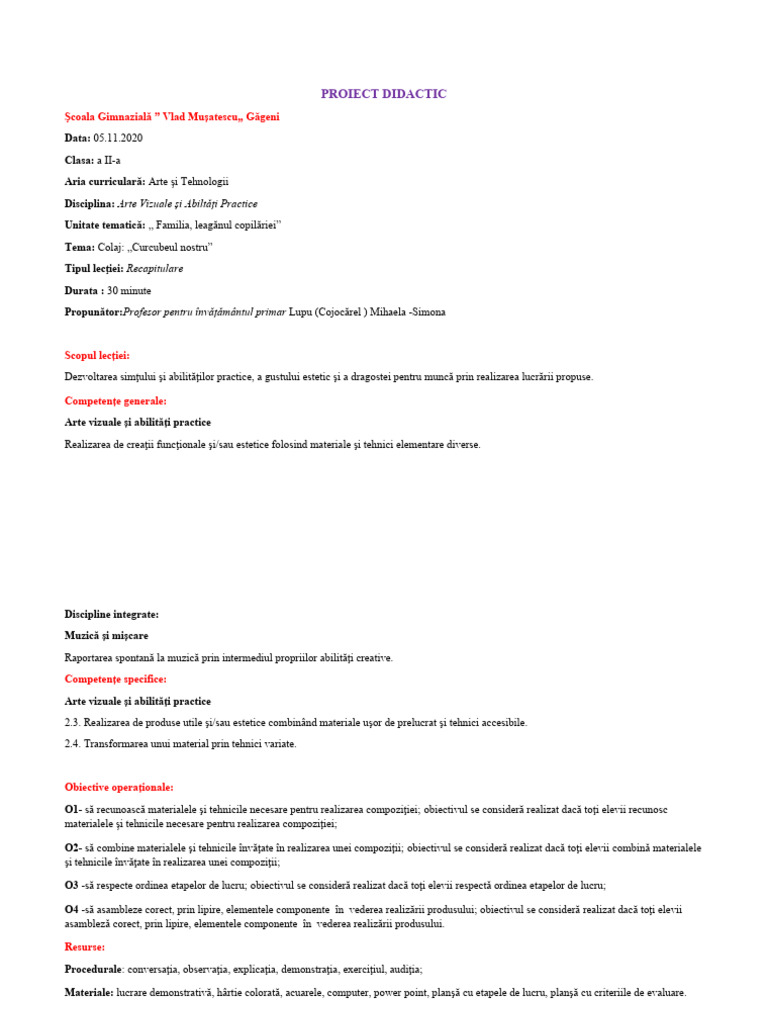 Proiect Didactic Avap 05.11.2020 | PDF