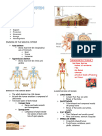 Skeletal System Anatomy Lecture PDF | PDF | Bone | Skeleton